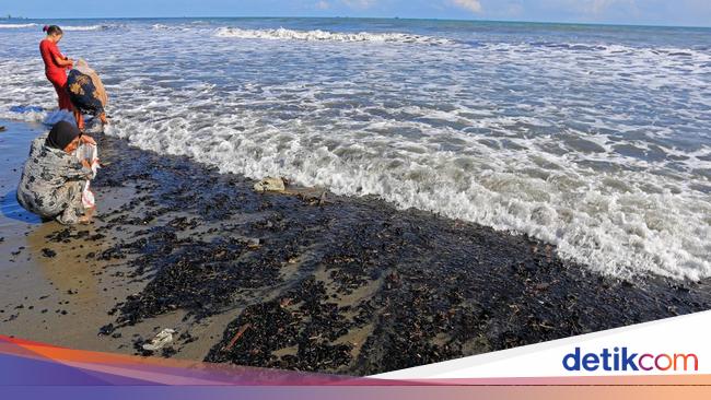 Tuai Cuan dari Limbah Batu Bara yang Cemari Pantai di Aceh