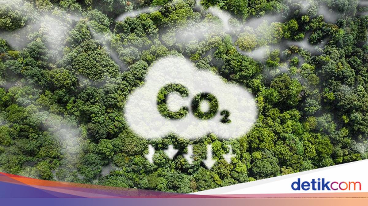 Mau Ikutan Jual-Beli di Bursa Karbon? Gini Caranya