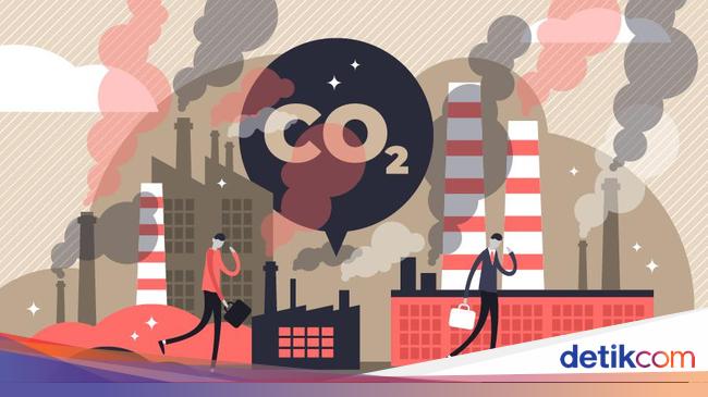 Bursa Karbon Bisa Tambah Ampuh Hadapi Perubahan Iklim, Pakai Cara Ini