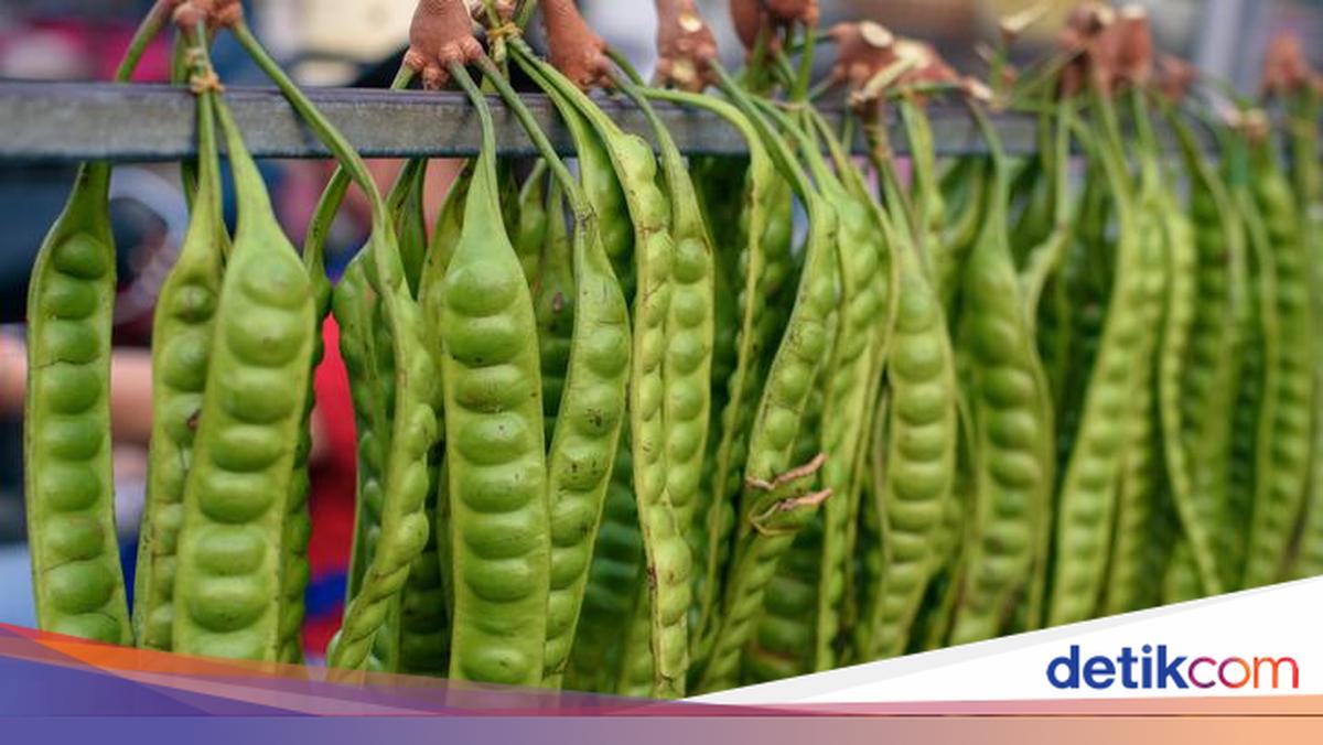 Tak Sekedar Lalapan, Ini Kandungan dan Manfaat Petai bagi Kesehatan
