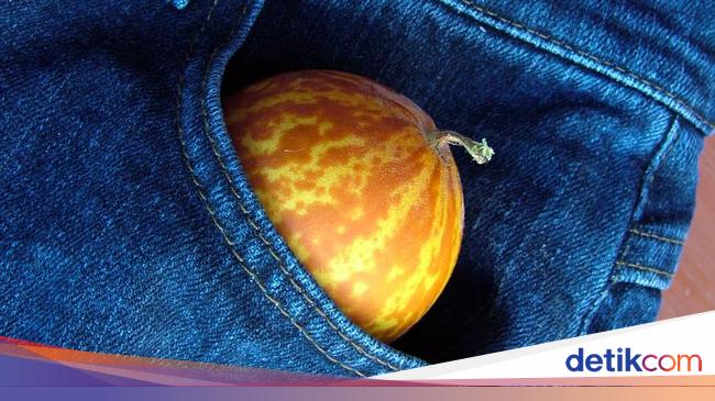 Queen Anne's Pocket, Melon yang Aromanya Manis Enak Mirip Parfum