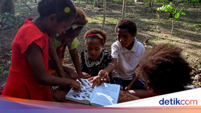 Melihat Penerapan Kurikulum Merdeka Belajar di Papua