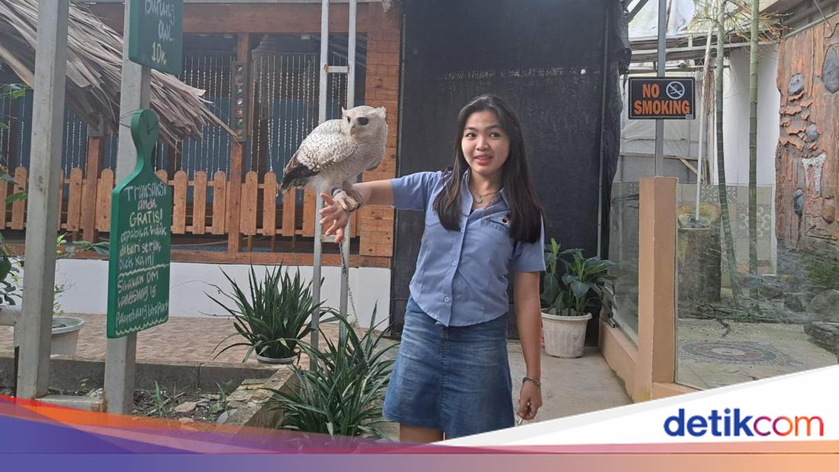 Yuk Ajarkan Anak Mengenal Jenis-jenis Burung di Palembang Bird Park