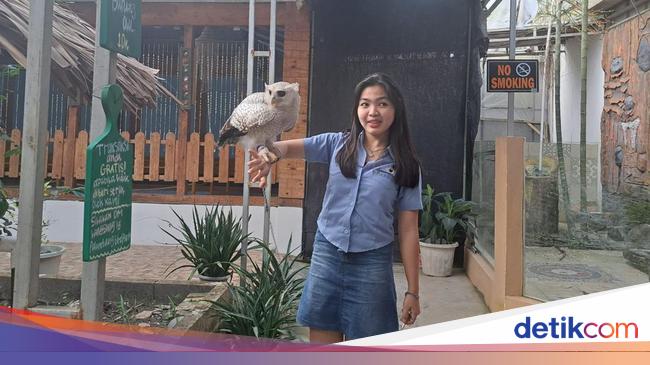 Yuk Ajarkan Anak Mengenal Jenis-jenis Burung di Palembang Bird Park