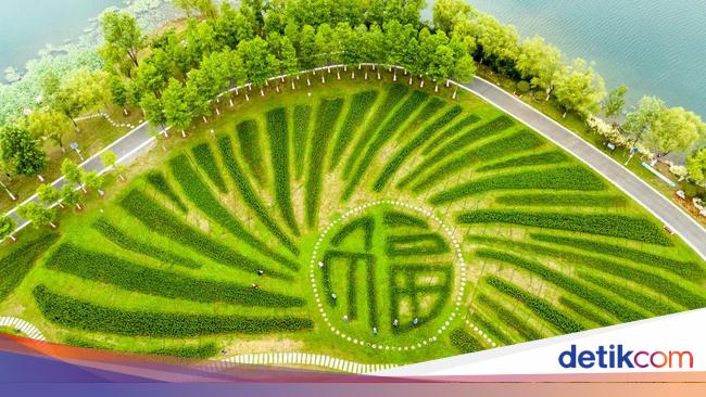 Cantik! Ladang Bunga Lili di China Berbentuk Aksara Tionghoa