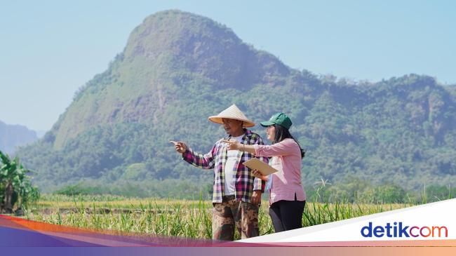 Sensus Pertanian 2023 Pijakan untuk Pertanian Masa Depan