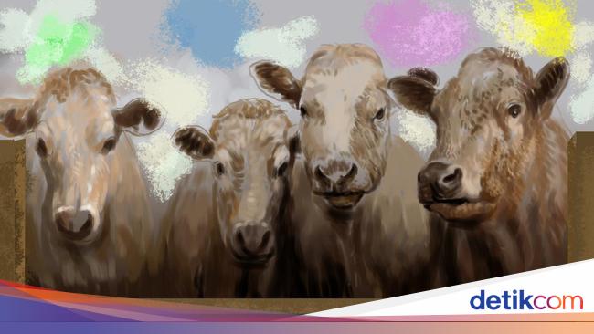 Bagaimana Sapi Bisa Terbang?