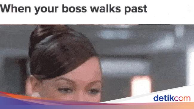 Meme Kerasnya Dunia Kerja, Tetap Menyerah dan Jangan Semangat!