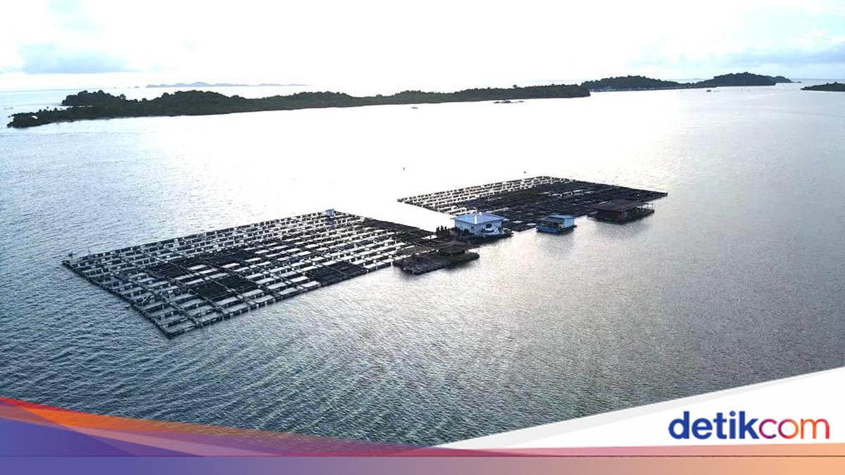 Potret Keramba 2 Hektare yang Disegel KKP