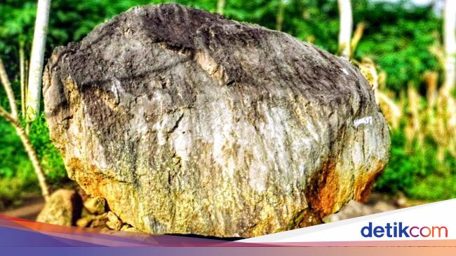 Melihat Kampung Dolmen di Bondowoso, Desa Bertebar Benda Zaman Prasejarah