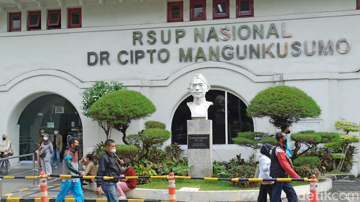 RSCM Buka Suara soal Ramai Ketua IDAI Tak Boleh Layani Pasien BPJS