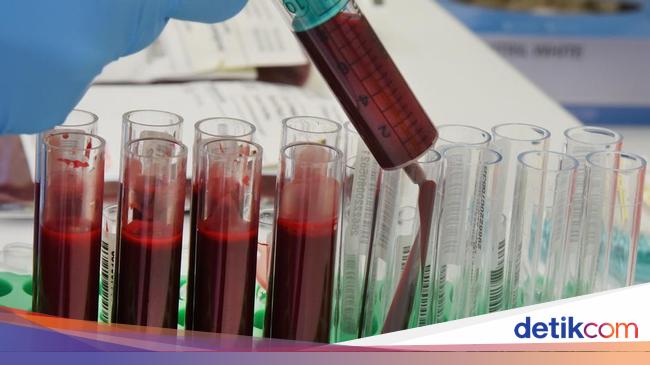 Hemoglobin Adalah: Fungsi, Kadar Normal, dan Penyakit yang Berkaitan