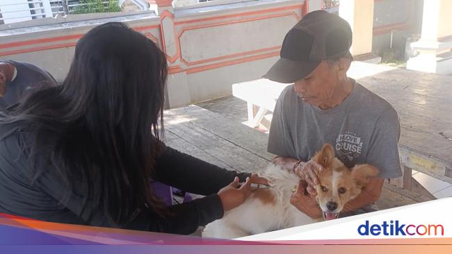 Disperpa Badung Dorong Desa-Kelurahan Bentuk Tim Siaga Rabies
