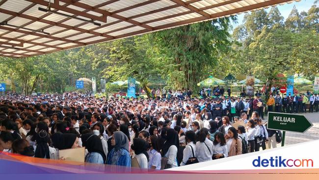Viral Ribuan Pelamar Kerja Padati Taman Safari Bogor, Ini Kata Pengelola Viral Ribuan Pelamar Kerja Padati Taman Safari Bogor, Ini Kata Pengelola