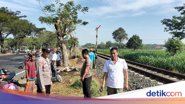 Peternak Sapi di Probolinggo Tewas Tertabrak KA Logawa