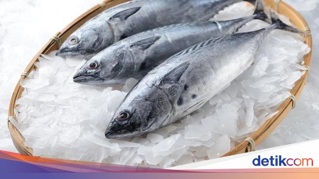 6 Pilihan Ikan yang Mengandung Protein Tinggi, Cocok untuk Diet