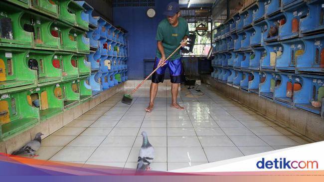 Pos Meti, Lapak Burung Merpati Tomprang Terbesar di Jakarta