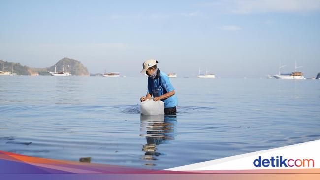 Sampah Terkumpul di Pantai Labuan Bajo Nyaris 1 Ton