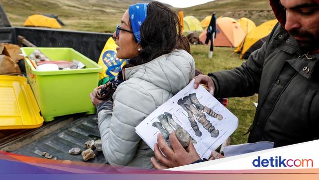 Ahli Ungkap Penyebab Fosil Dinosaurus Bertahan Ratusan Juta Tahun Ahli Ungkap Penyebab Fosil Dinosaurus Bertahan Ratusan Juta Tahun