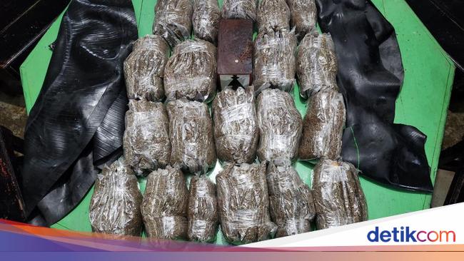 TNI Gagalkan Penyelundupan 8 Kg Ganja Dalam Ban Mobil di Perbatasan RI-PNG