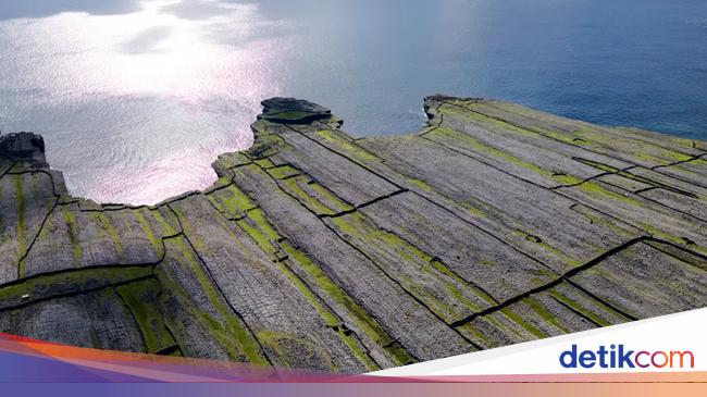 Uang Miliaran dan Rumah Menunggu yang Mau Pindah ke Irlandia