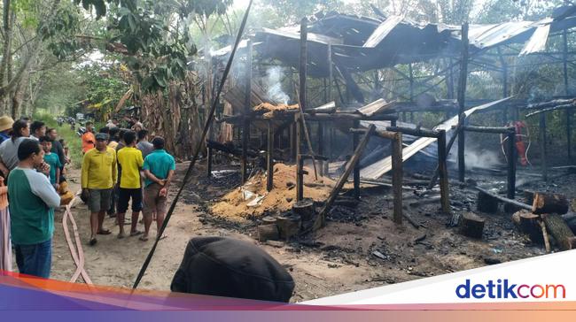 5 Fakta Pilu Ayah-Ibu dan 2 Anaknya Tewas Saat Kebakaran Kandang Ayam