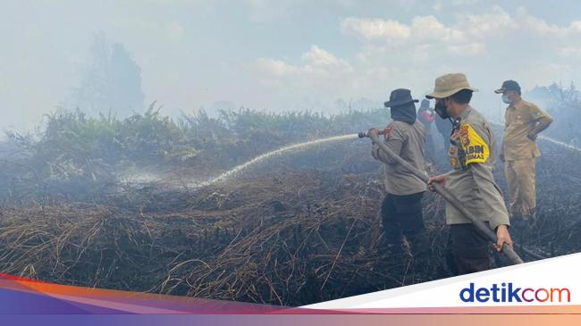 30 Hektare Lahan Terbakar di Rohul, Sudah 3 Hari Belum Padam!
