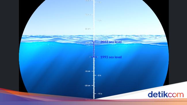Air Laut Naik 9 Cm dalam 30 Tahun Terakhir, NASA Gambarkan dengan Animasi