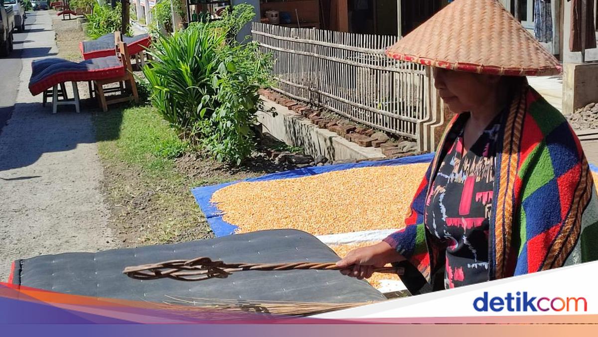 Mengenal Tradisi Mepe Kasur Menyambut Idul Adha di Banyuwangi