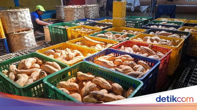 Dolan ke Desa Cilembu, Daerah Penghasil Ubi Termasyhur di Indonesia