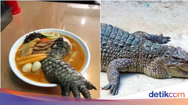 Makin Ekstrem, Kini Ada Ramen Topping Daging Buaya di Taiwan