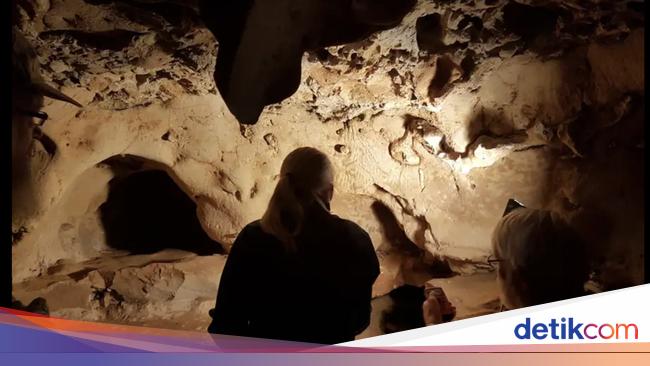 Arkeolog Perkirakan Neanderthal Sudah Ciptakan Seni 57 Ribu Tahun Lalu