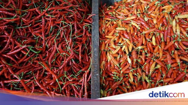 Harga Cabai Masih Mahal, Badan Pangan-Pedagang Ungkap Biang Keroknya