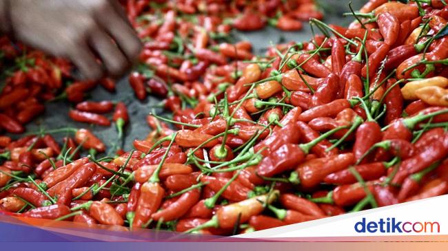 Harga Cabai Rawit Merah Makin Pedas, Naik Hampir 50% di Atas Acuan Pemerintah