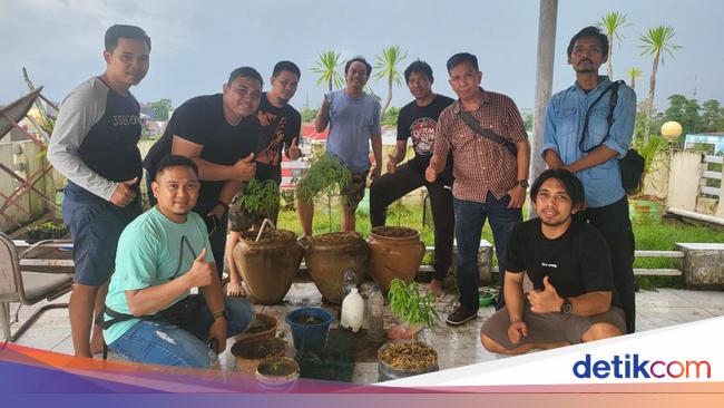 Polisi Tangkap 2 Orang Saat Bongkar Kasus Budidaya Bibit Ganja di Gowa