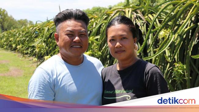 Keluarga Asal Vietnam Awalnya Berlibur di Australia, Akhirnya Beli Kebun Mangga