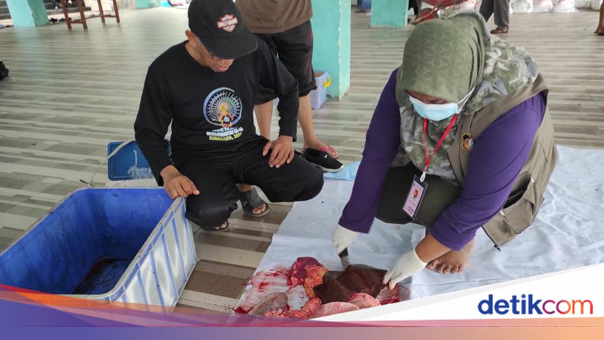 DKPP Kota Blitar Temukan Sapi dan Kambing Kurban Terjangkit Cacing Hati