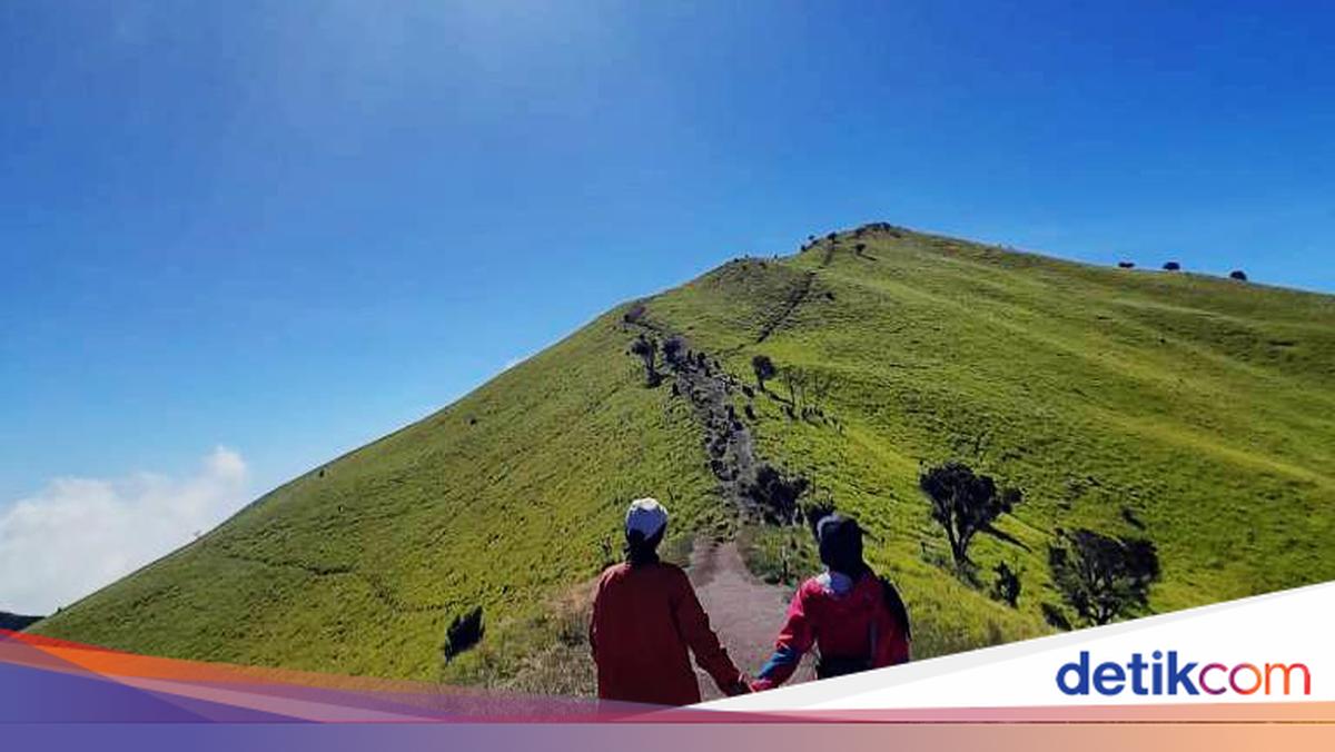 Taman Nasional Gunung Merbabu: Jalur Pendakian, Cara Booking, Biaya, Aturan