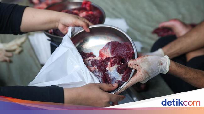 Cara Pembagian Daging Kurban dengan Benar, Ketentuan dan Satuan Kilogramnya