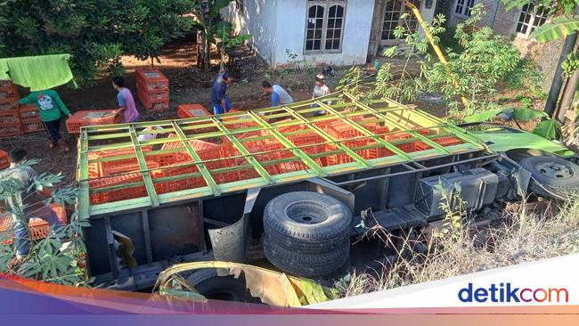 Truk Muatan Ayam Terguling di Jalan Wonosari-Jogja