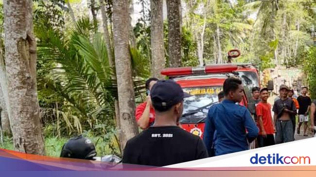 Koloni Lebah Serang Warga Klaten, 13 Orang Dilarikan ke RS-Puskesmas