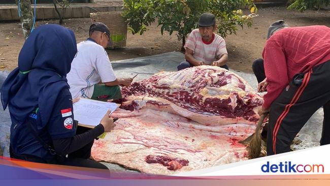 Ketentuan Banyaknya Daging untuk Orang yang Berkurban