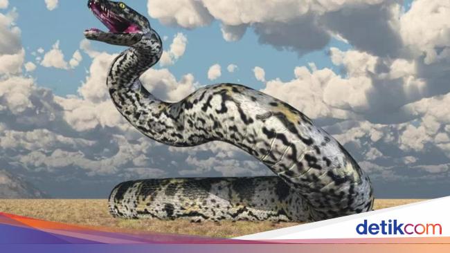 Titanoboa 14 Meter Adalah Ular Terbesar yang Pernah Merayap Bumi