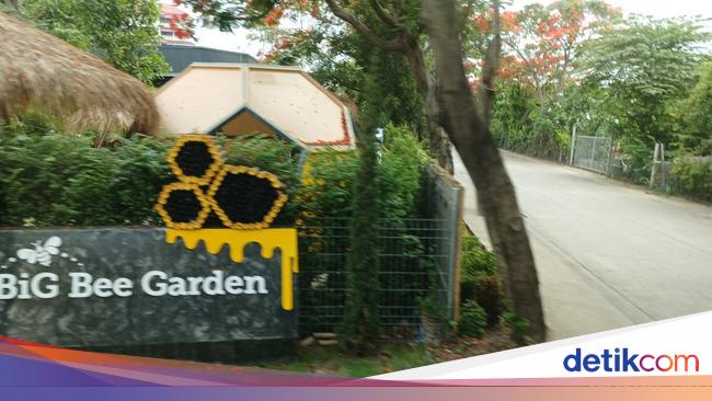 Foto: Belajar tentang Lebah dan Madu di Big Bee Farm Thailand