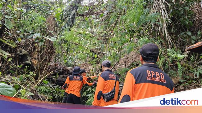 Hujan Angin Akibatkan Pohon Tumbang hingga Longsor di Klungkung