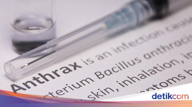 3 Warga Gedangsari Gunungkidul Positif Antraks