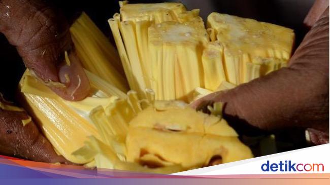 Nangka Berjasa Selamatkan Warga Sri Lanka dari Kelaparan