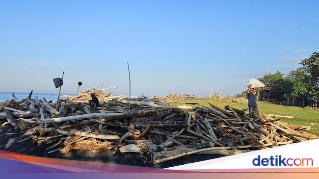 'Berkah' Sampah Kiriman di Pantai Jumpai, Dijual-Jadi Kayu Bakar