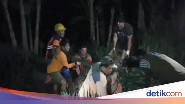 Turis Amerika Serikat Tewas Saat Susur Sawah, Jasad 200 Kg Sulit Dievakuasi