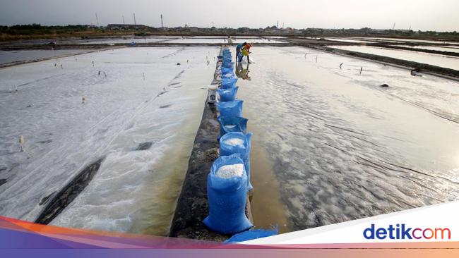 Produksi Garam di Pasuruan Terkendala Cuaca